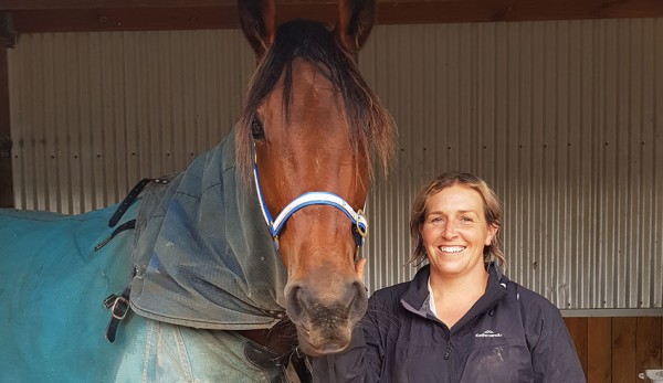 Change of environment for former star pacer | Harness Racing New Zealand