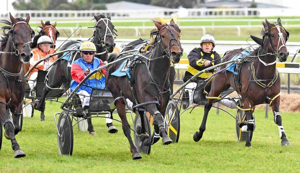 David Butcher each way all day at Hawera | Harness Racing New Zealand