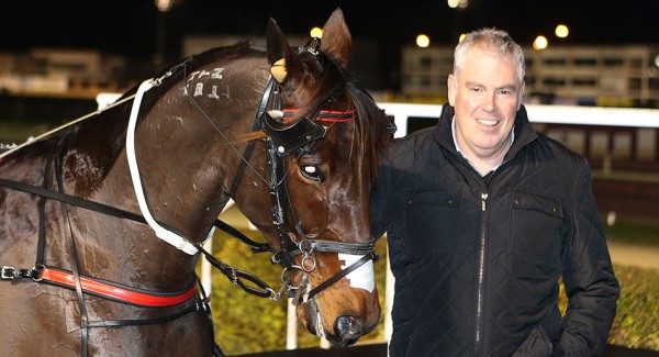 After 15 wins grand campaigner "George" retires | Harness Racing New ...