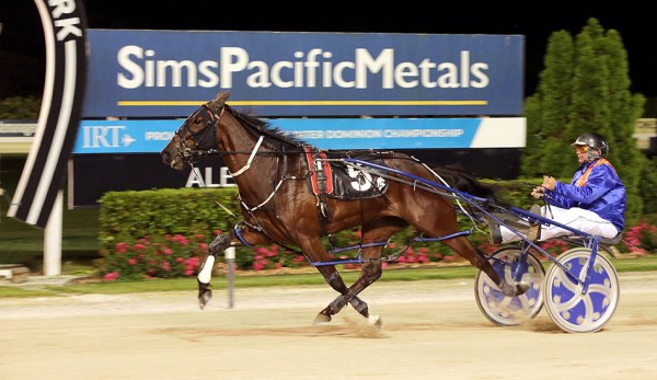 Stormont settling into his new life | Harness Racing New Zealand