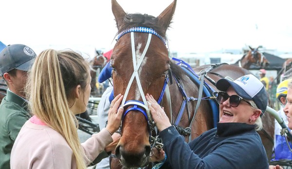 Kango is the king of Kaikoura | Harness Racing New Zealand