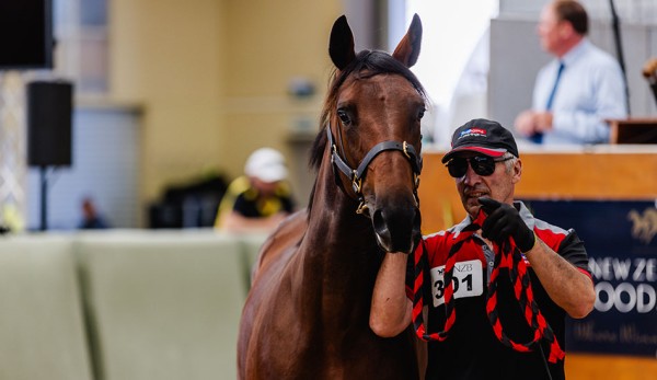 Brian West heads into retirement on a high | Harness Racing New Zealand
