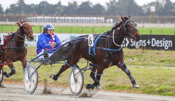 Strappers still hitting their hopples after all this time | Harness ...
