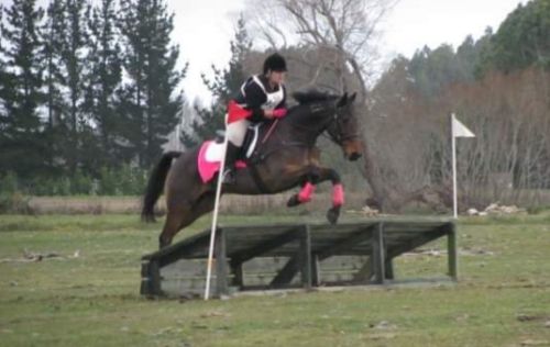 Master Jonty | Harness Racing New Zealand