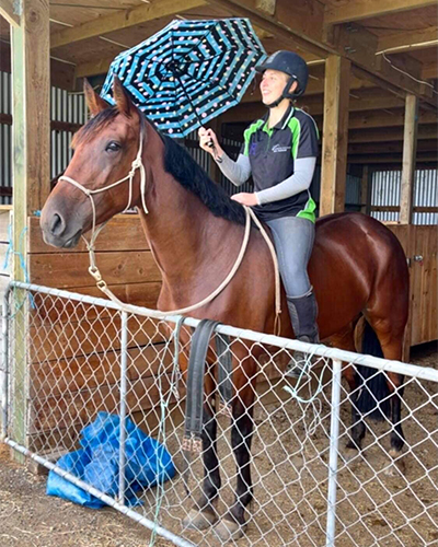 What is HERO | Harness Racing New Zealand