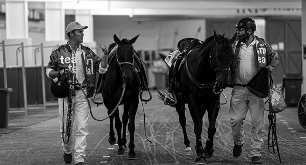 Will Redwood ... the Clerking Cowboy | Harness Racing New Zealand